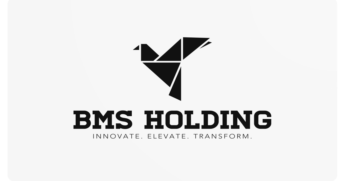 BMS HOLDING GROUP | Développement Web et IA en Guinée.